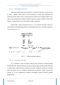 Značaj i primena rasterske grafike | studenti.rs